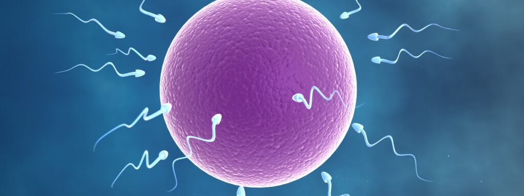 Intrauterine Insemination (IUI) - Fertility Route