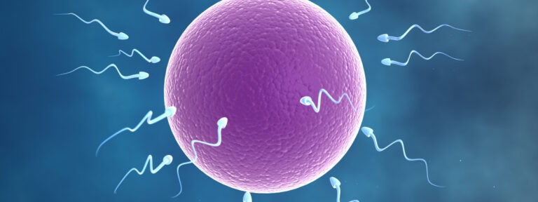 Intrauterine Insemination (IUI) - Fertility Route